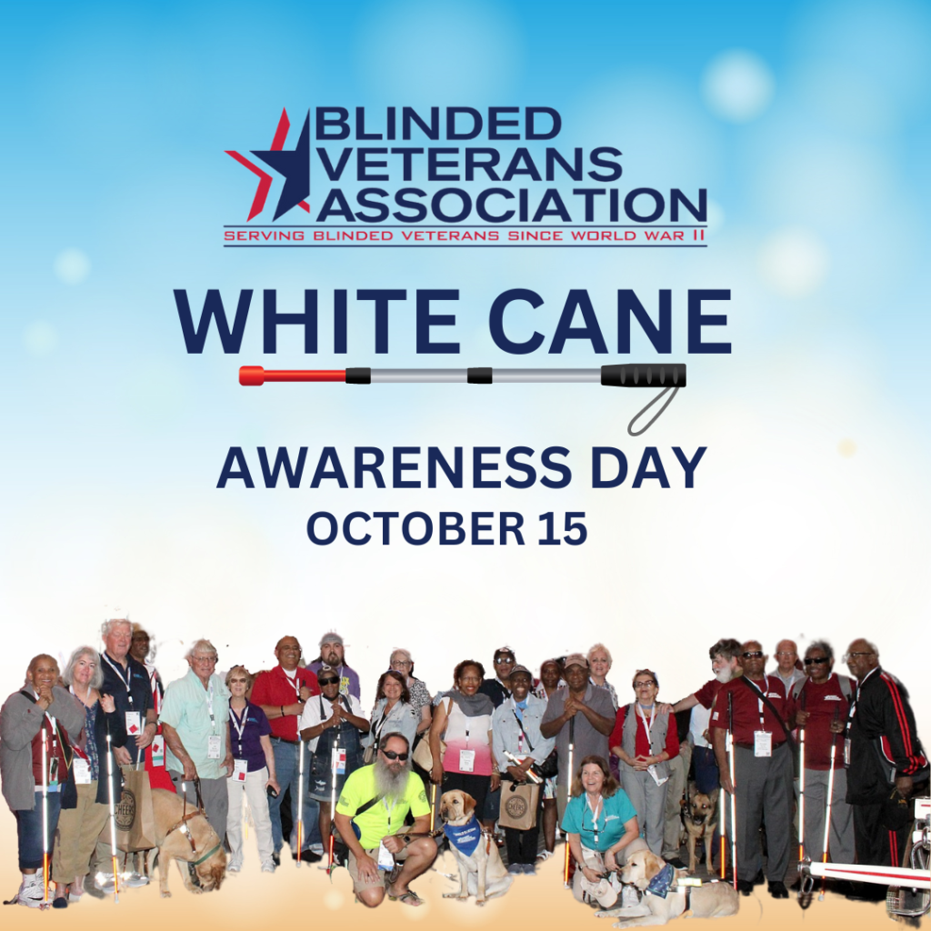 Celebrating White Canes while Increasing Awareness – Blinded Veterans ...